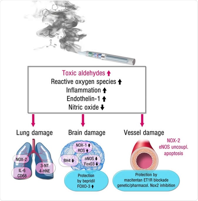 Doctors issue stern warning on e-cigarette use as it can damage vital ...