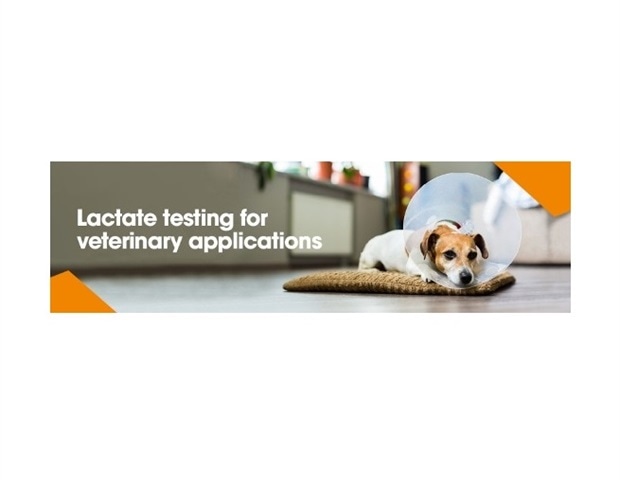 Veterinary Applications of Lactate Testing