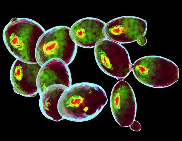 What is Multicolor Flow Cytometry?