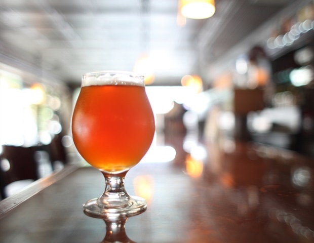 Strong beers that contain gut-friendly bacteria may help fight obesity