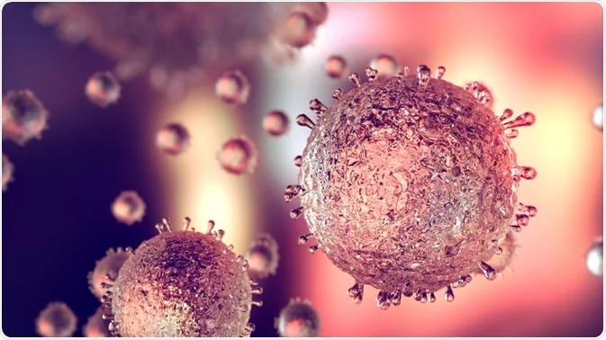 What are Baculoviruses?