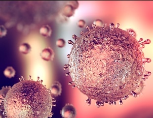 What are Baculoviruses?