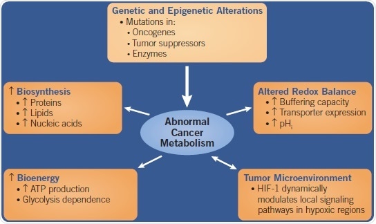 An Overview of Cancer Metabolism
