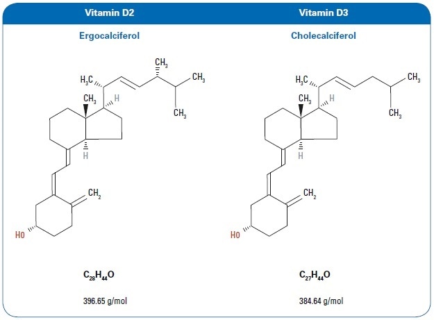 Performing the Analysis of Vitamin D in Cheese with Mass Spectrometry