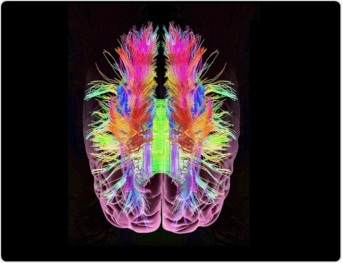 Applications of CLARITY