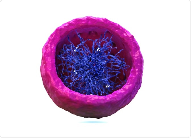 Single-Nucleus RNA Sequencing (sNuc-seq) Applications