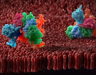 Structural Motifs in Protein Biology