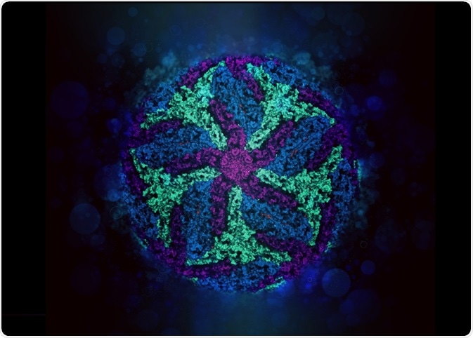 Single-particle Cryo-EM Principles & Uses