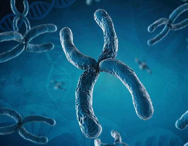 Overview of MECP2 Duplication Syndrome