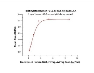 FGL1 Protein Characterization for Cancer Detection