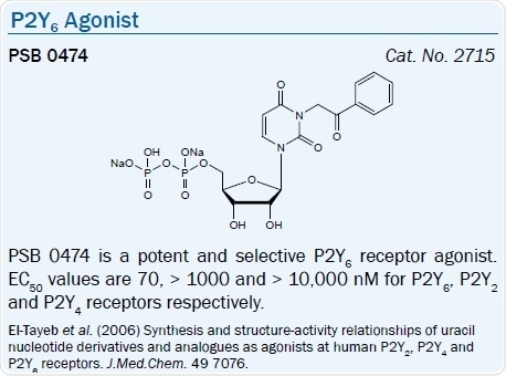 An Introduction to P2X and P2Y Receptors