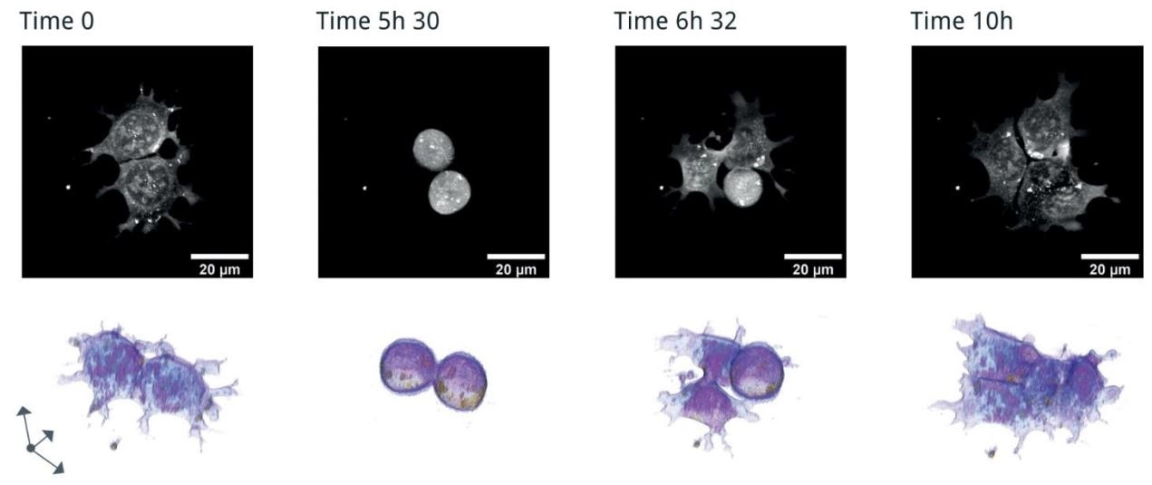 NANOLIVE‘s novel CX-A defines a new standard for live cell imaging in ...
