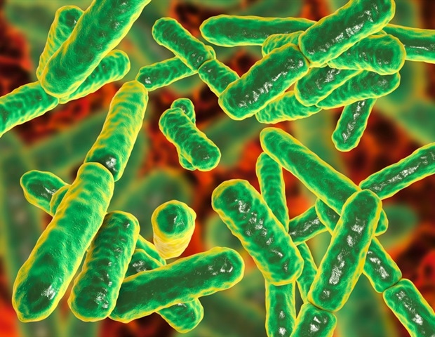 Genetics may influence the microbiome more than environment