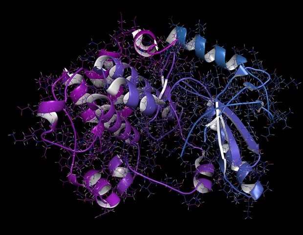 MEK Inhibitor Mechanism of Action, Side Effects, and Uses