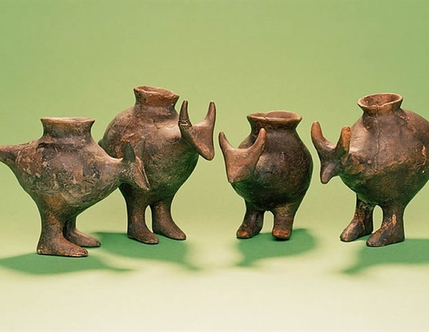 Prehistoric baby bottles: evidence animal milk fed to prehistoric babies