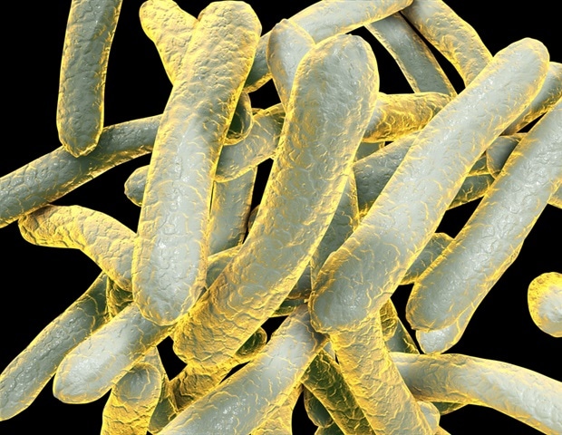 Deer can pass tuberculosis to humans, CDC warns