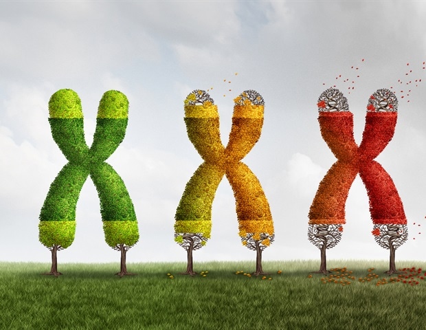 Telomere Shortening, Aging, and Cancer