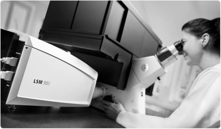 Microscopy in Neuroscience Research