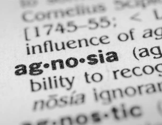What is Agnosia?