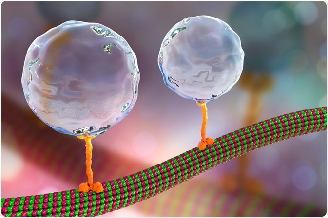 What are Molecular Machines?