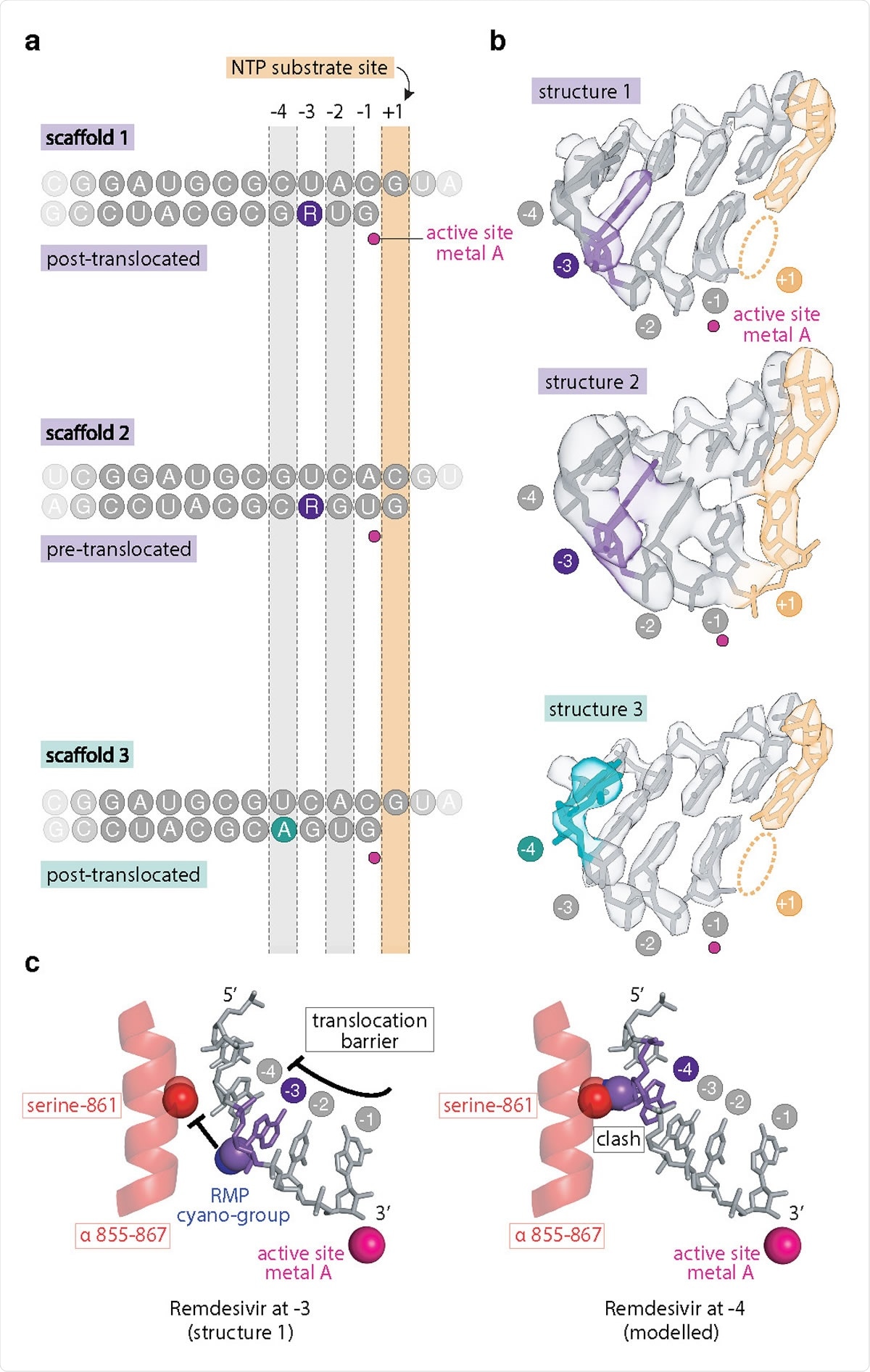 Research shows how remdesivir inhibits SARS-CoV-2 replication