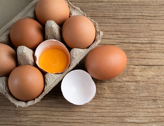 Eating an egg a day is OK