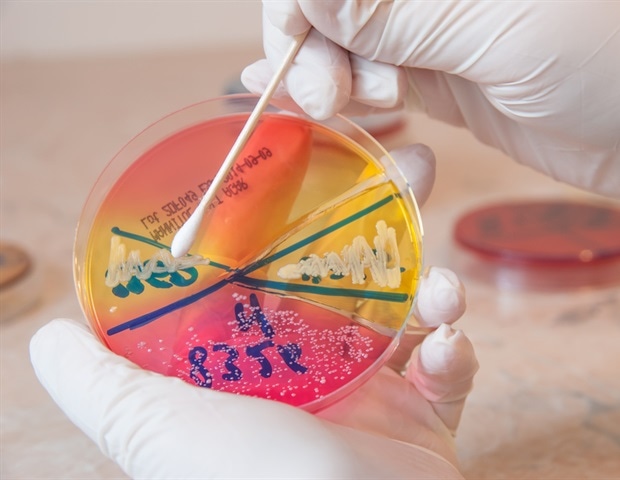 New bacteria-killing light-activated coating