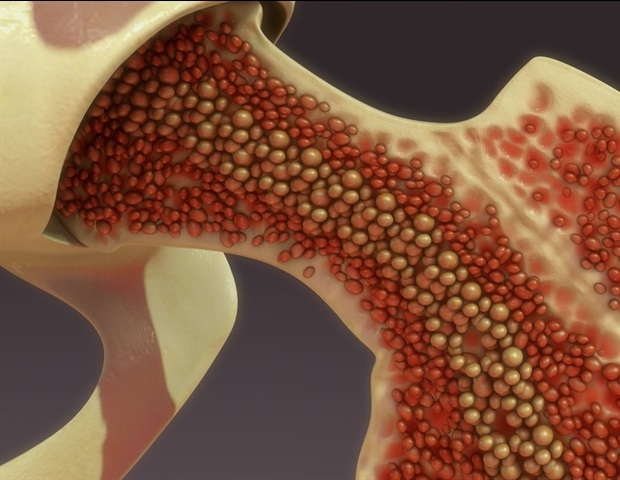 How Do Skeletal Stem Cells Form Bones?