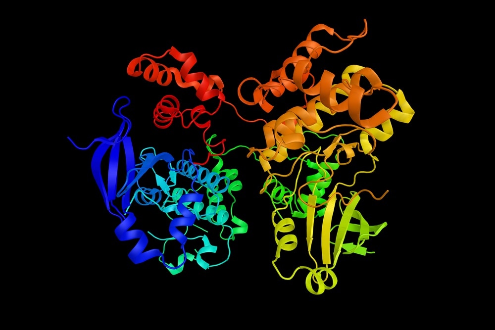 AMPK Signaling Pathway