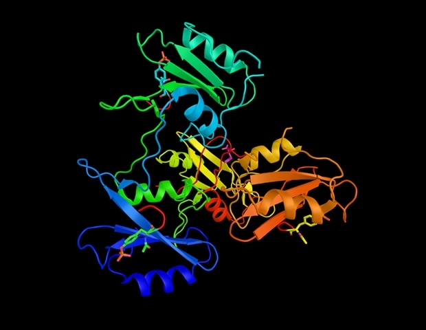 What is Organogenesis?
