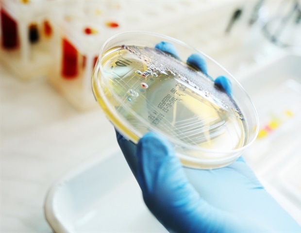 What are Isogenic Cell Lines?