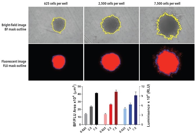 Label-Free Real-Time Live-Cell Spheroid Assays