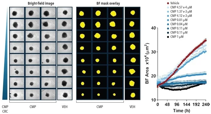 Label-Free Real-Time Live-Cell Spheroid Assays