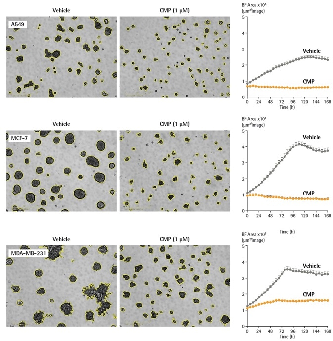 3D Multi-Spheroid Live-Cell Assays Formed on Bio-Matrices