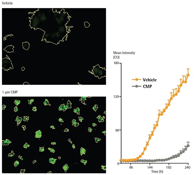 3D Multi-Spheroid Live-Cell Assays Formed on Bio-Matrices