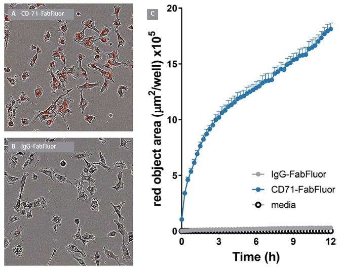 Fluorescent 96-Well Antibody Internalization Assays