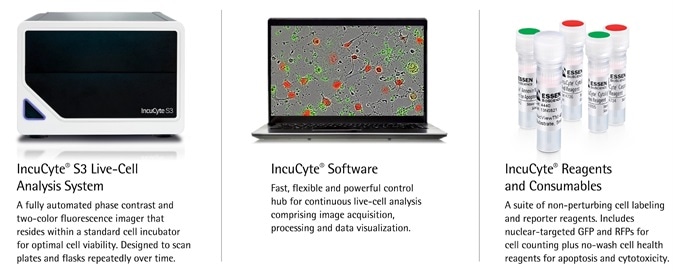 Tracking Cell Surface Markers and Cell Populations with Live-Cell Analysis