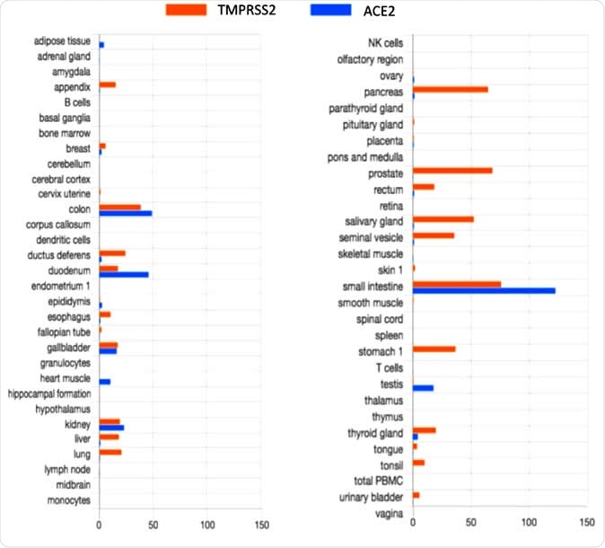 A closer look at TMPRSS2: This could help treat COVID-19