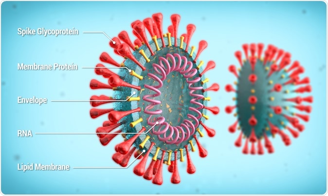 New and unexplored angle in the binding of SARS-CoV-2 to host cells