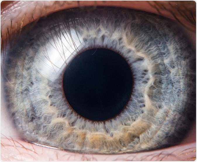 SARS-CoV-2 could spread through surface of the eyes