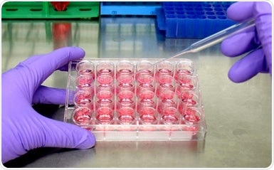 Incucyte® SX5 Live-Cell Analysis System : Get Quote, RFQ, Price or Buy