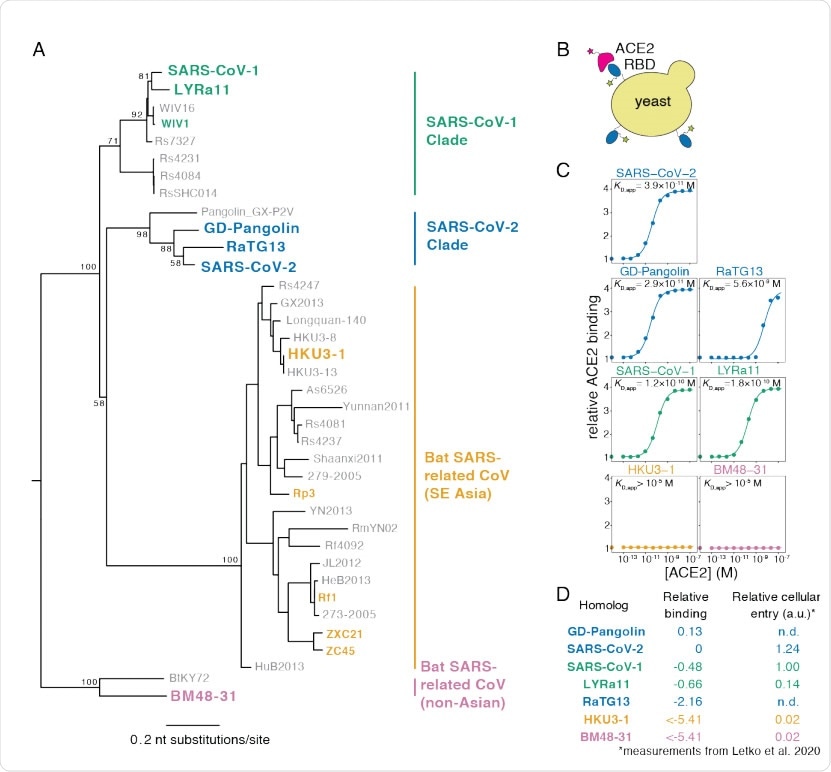 Mutational targets of SARS-CoV-2 receptor-binding domain for vaccine ...