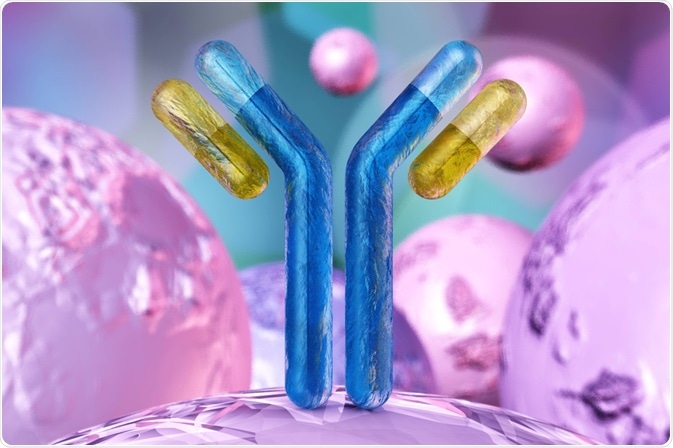 Monitoring the Stability of Monoclonal Antibodies