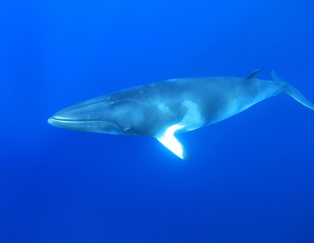 Dire warning on contamination of water and COVID-19 spread