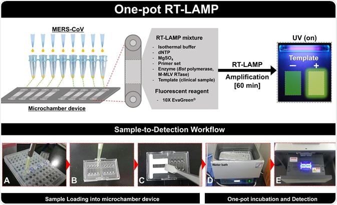 What is RT-LAMP Technology?