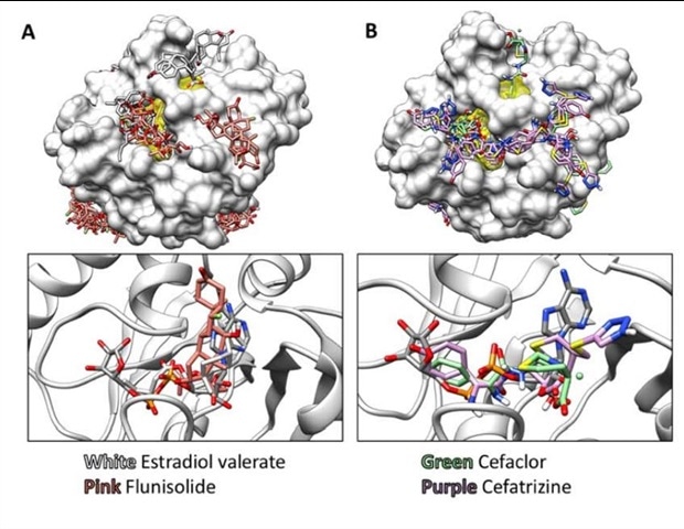 Small molecule drugs binding Mac1 domain of SARS-CoV-2