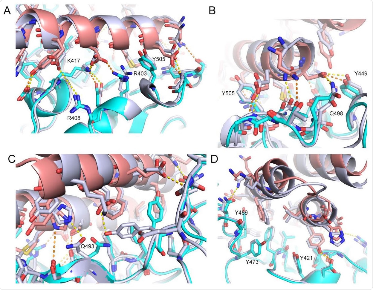 Picomolar inhibitors to SARS-CoV-2 proteins