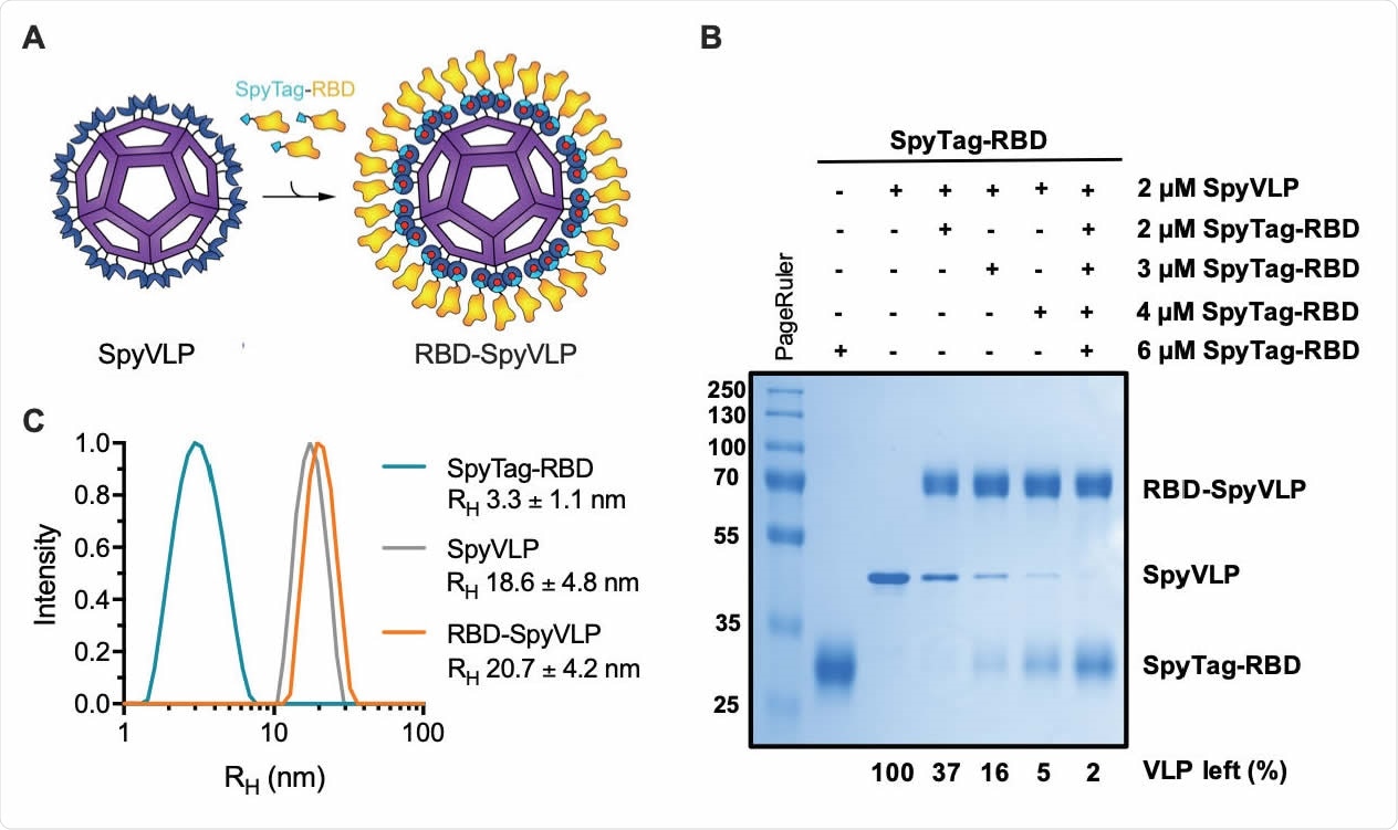 Promising new candidate 'virus-like particle' vaccine for COVID-19