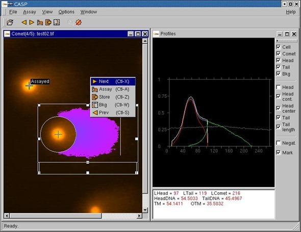 comet assay analysis software - memekuch