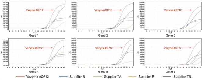Real Time Pcr Diagram